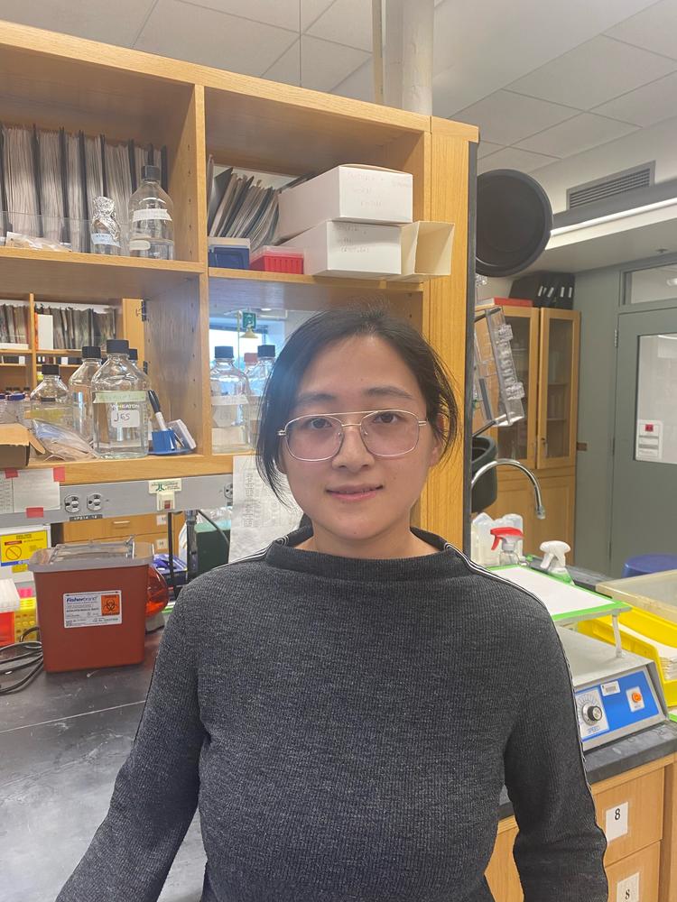 Yu Sun | Jean E. Schwarzbauer